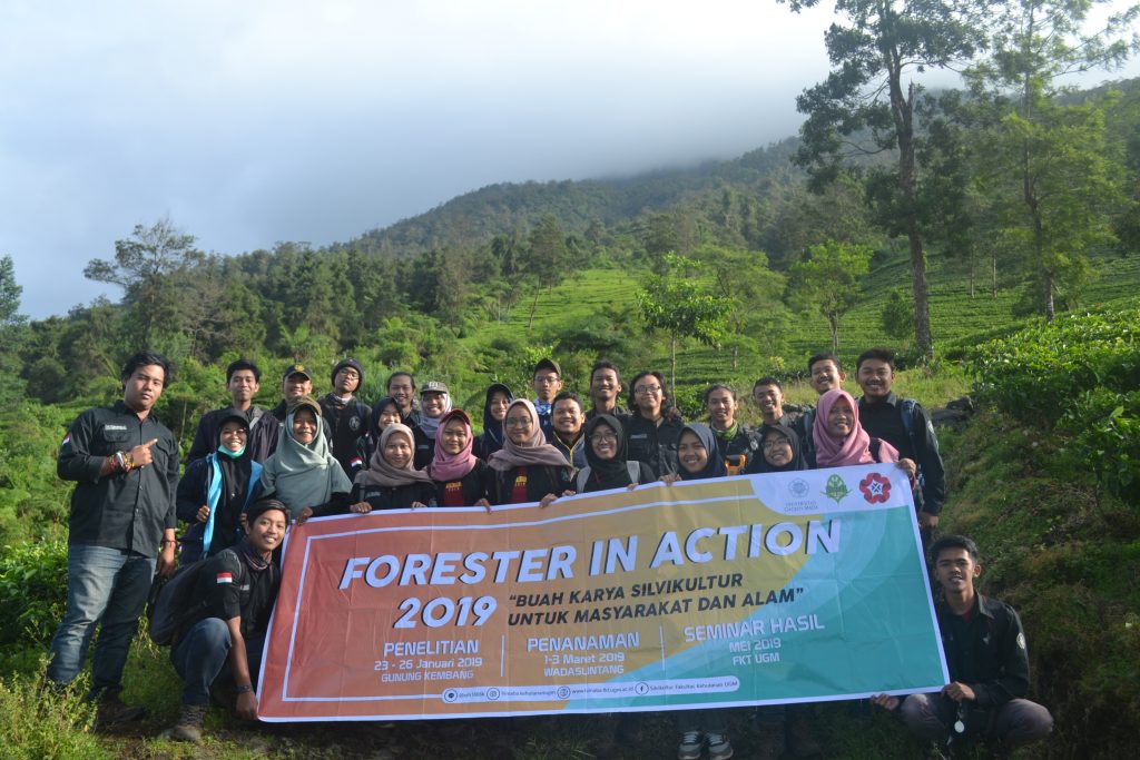 Mengenal Flora Gunung Kembang, Astronia spectabilis – HIMABA FKT UGM
